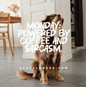 199 Happy Monday Funny Quotes and Images - Quote Lander